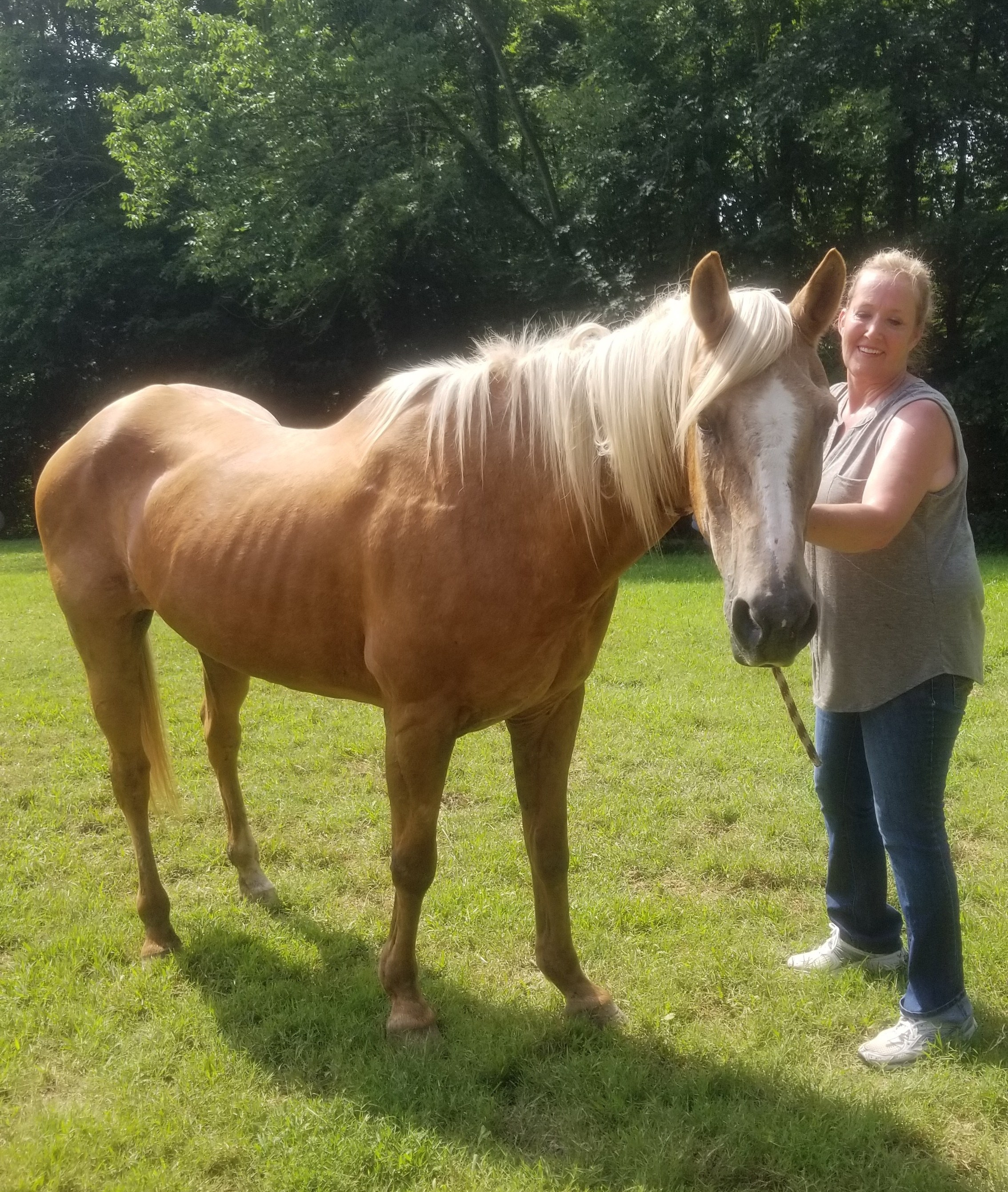 Permanent Residents – Wolf Ranch Horse Rescue